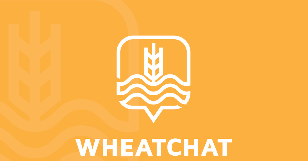 Plantilla de diseño de logotipo de chat de trigo