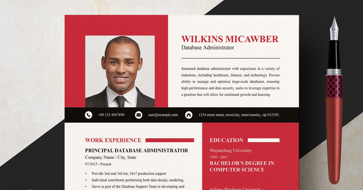 Creative Professional CV Mall Layout - TemplateMonster