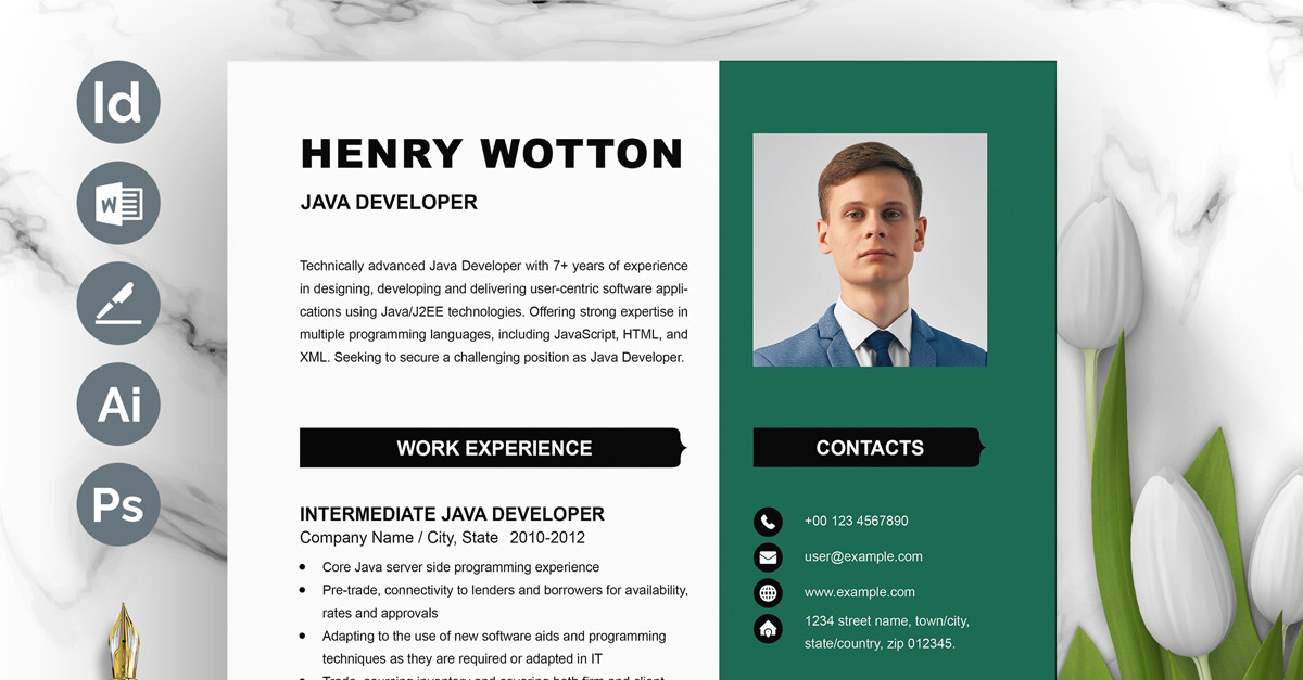 CV Design Template for Java Developer - TemplateMonster