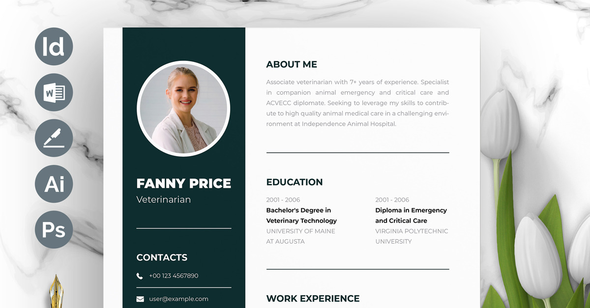 Creative And Professional Resume Template Design