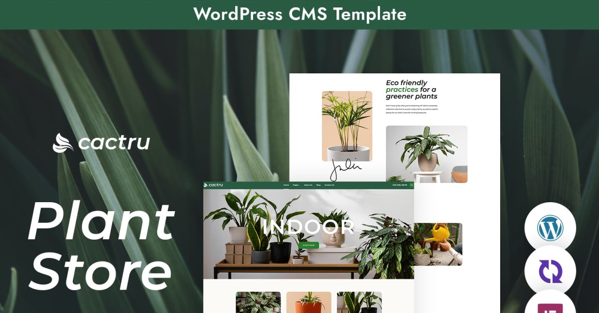 Tema de WordPress Cactrus: una experiencia única en Plant Studio