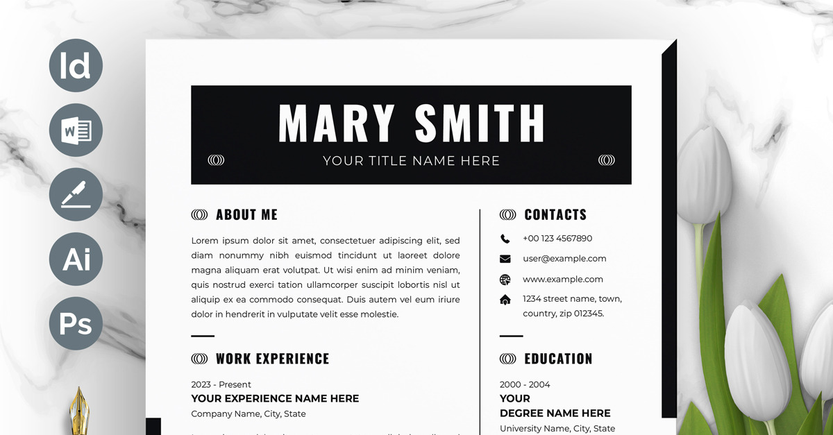 Executive Professional Resume Template Design