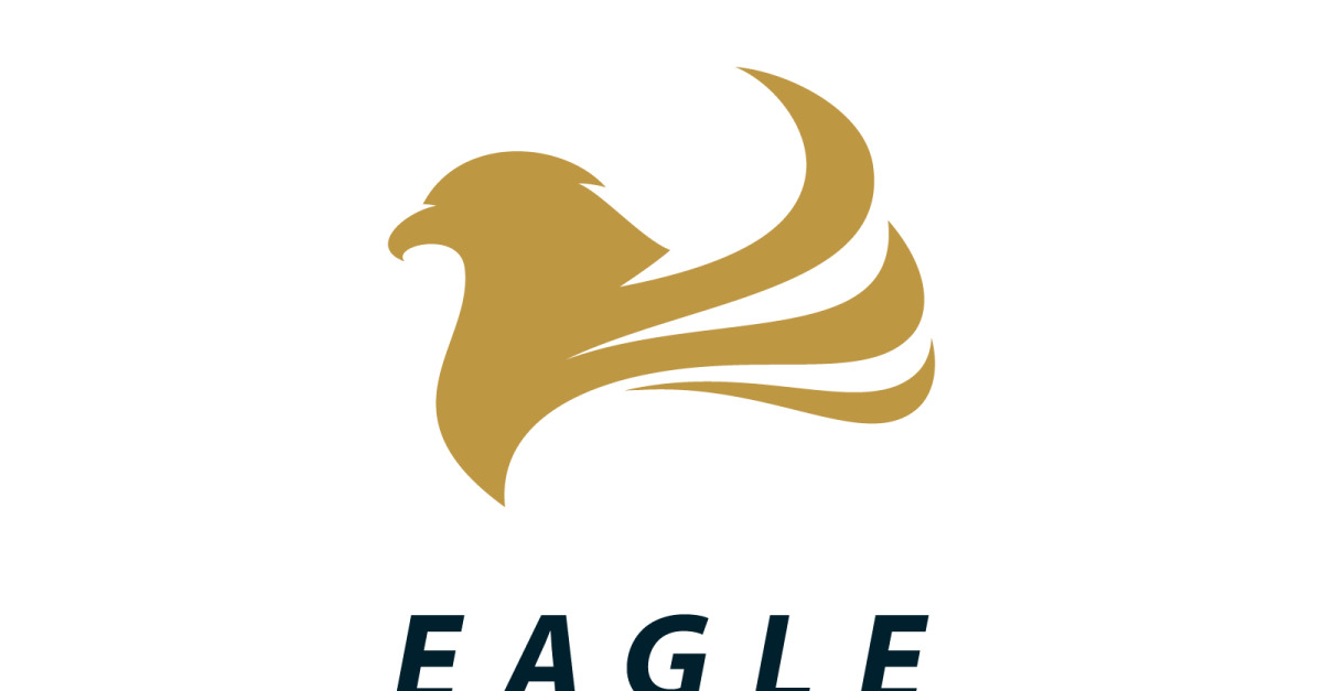 Eagle Logo Vector, Creative eagle icon Template illustration V2
