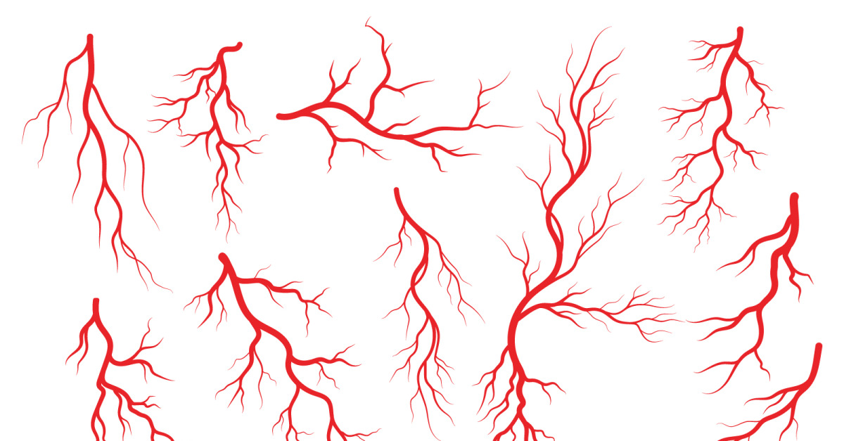 Medical hospital concept healthy Human veins and arteries icon ...