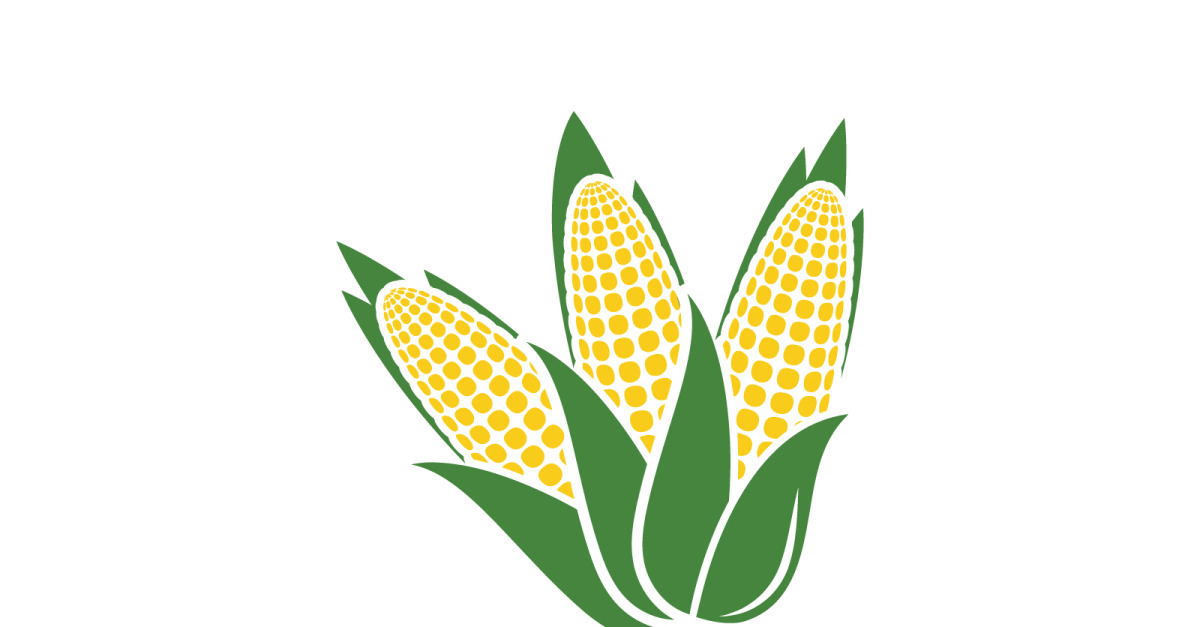 Agriculture corn vector icon logo design template v.2