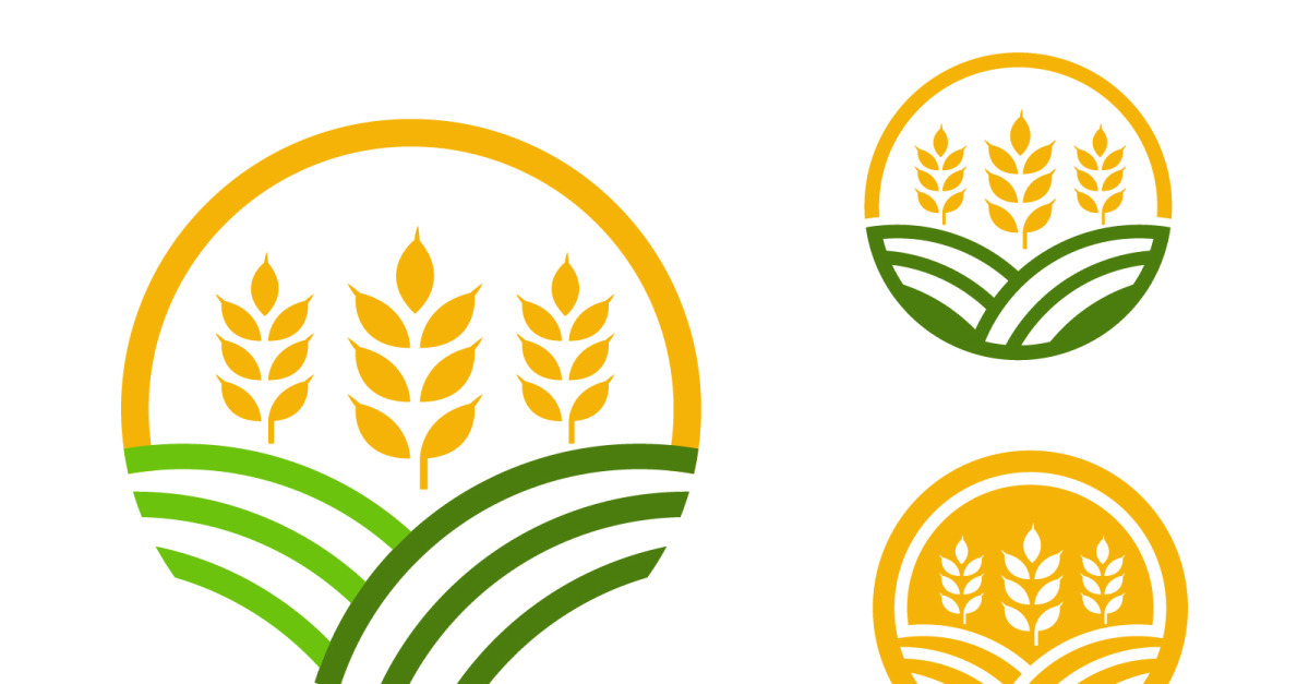 Agriculture Wheat rice farm vector icon illustration template v.5