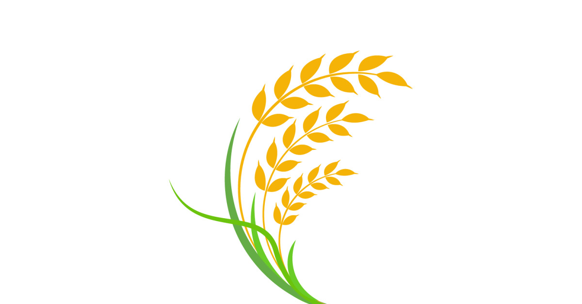 Agriculture Wheat rice farm vector icon illustration template v.7