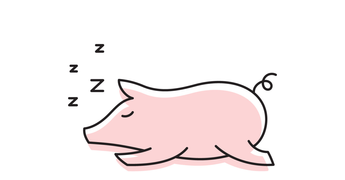 Modèle d'illustration d'icône de vecteur de symbole mignon de cochon v.13