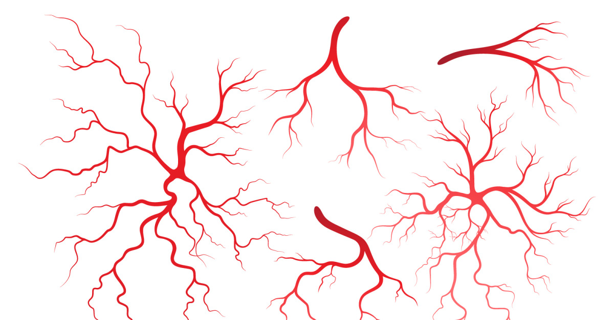 Human Health veins and arteries illustration design template v.3