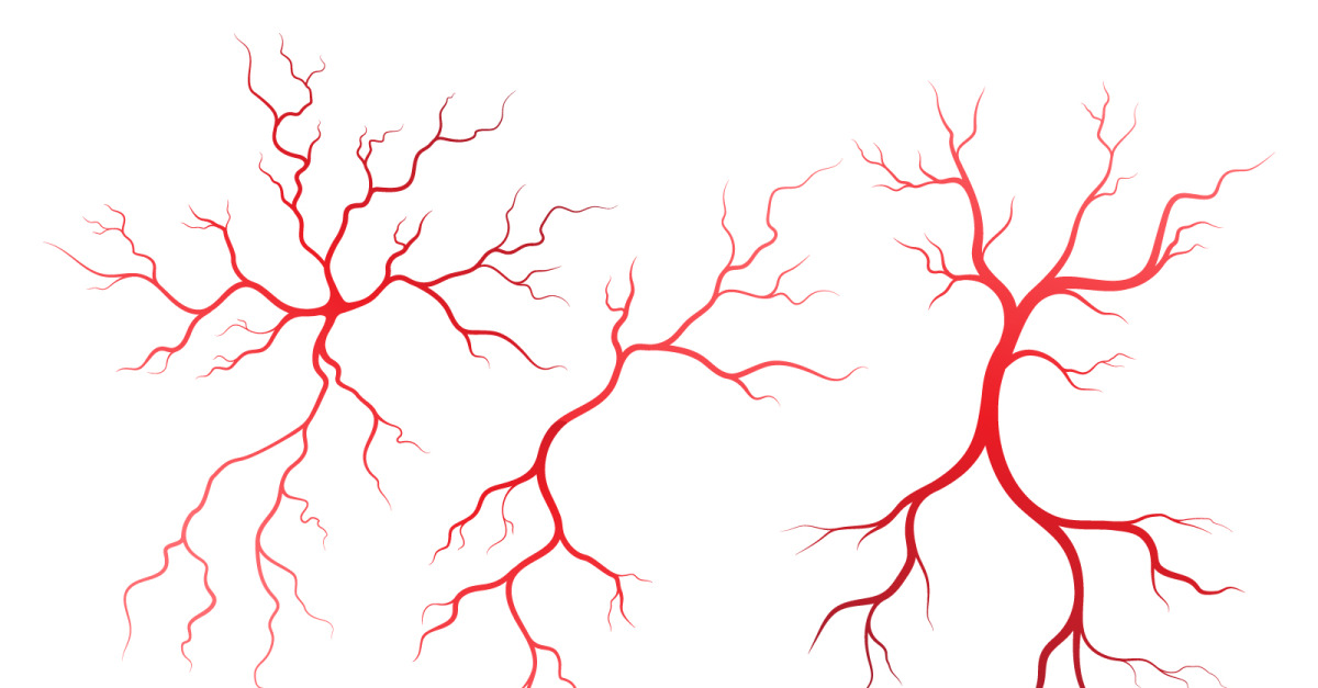 Human Health veins and arteries illustration design template v.4