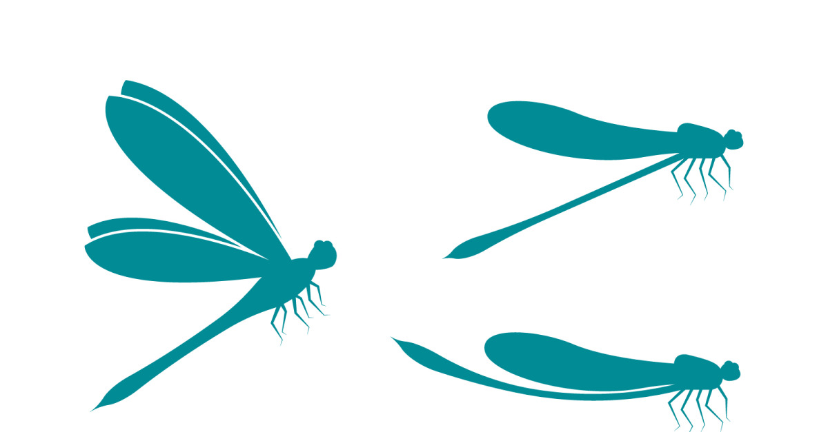 Logotipo de ícone de ilustração de libélula design Template v.7
