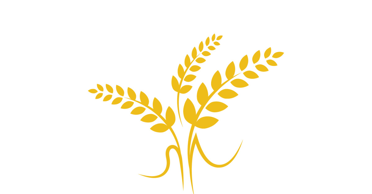 Agriculture Riz ferme blé vecteur icône illustration conception v.8