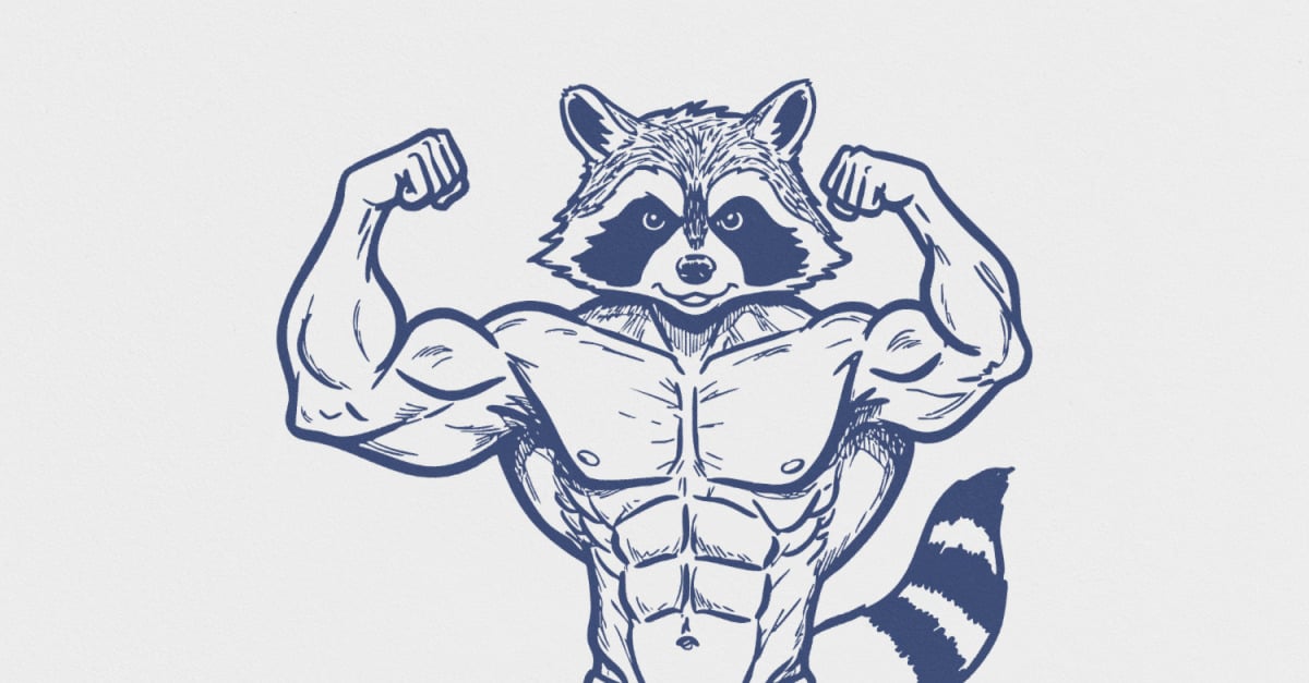 Muscular Raccoon Weightlifter PNG, Fitness Clipart, Gym Raccoon ...
