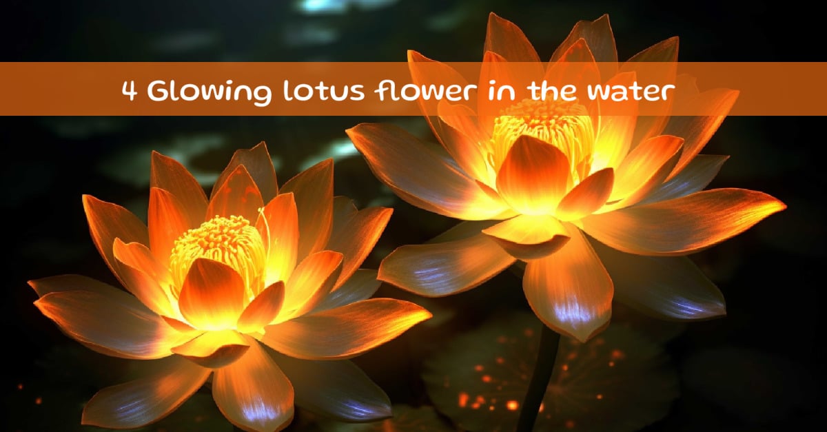 Glowing lotus flower in the water #500056 - TemplateMonster