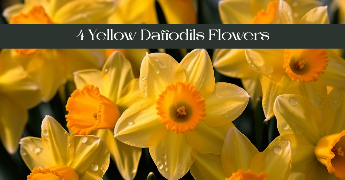 Yellow Daffodils Flowers AI image #500057 - TemplateMonster