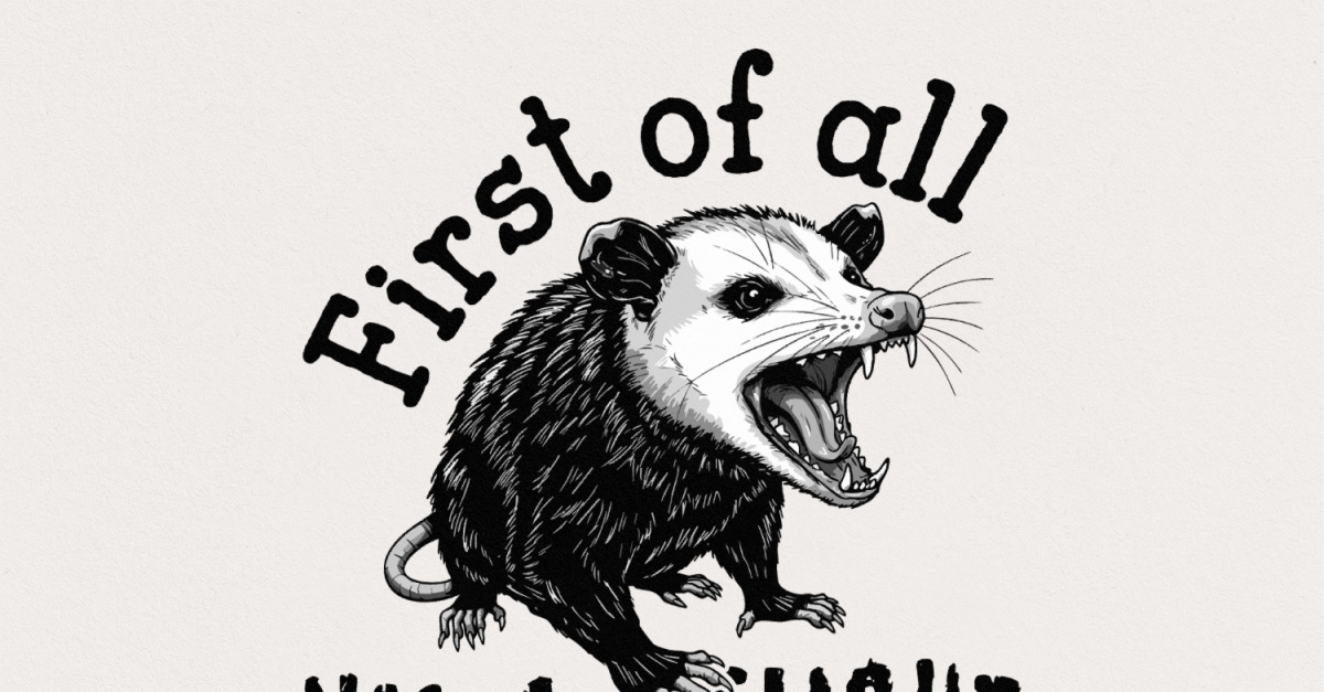 First Of All I'm A Delight PNG, Funny Possum PNG, Funny Animal PNG ...