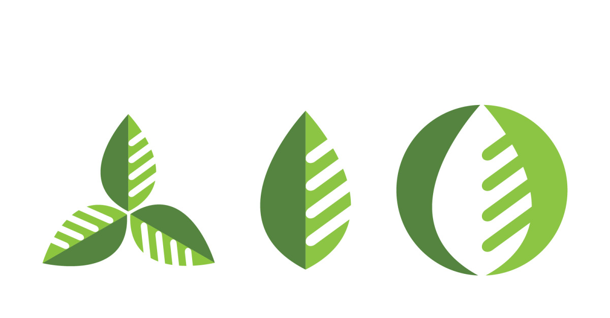 Healthy life tree leaf concept logo design template v.72