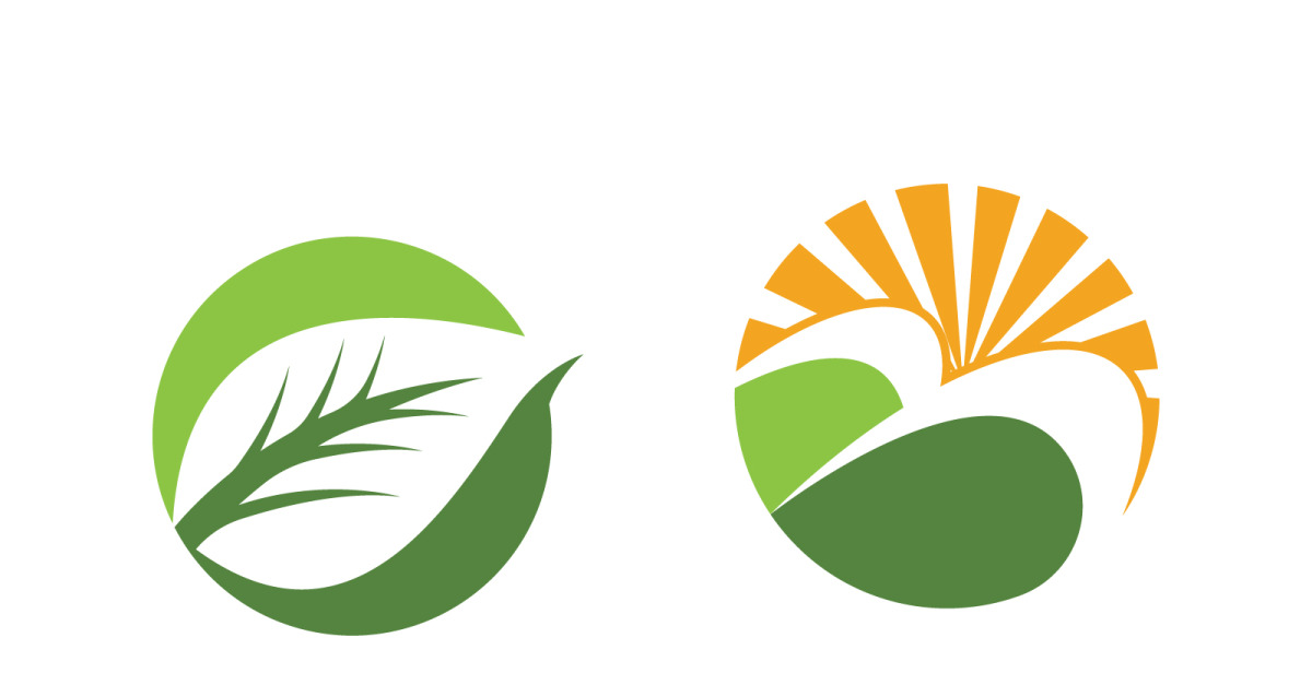 Healthy life tree leaf concept logo design template v.75