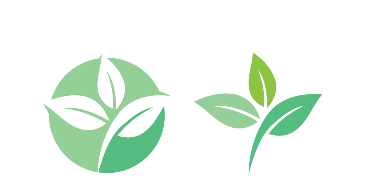 Healthy life tree leaf concept logo design template v.76