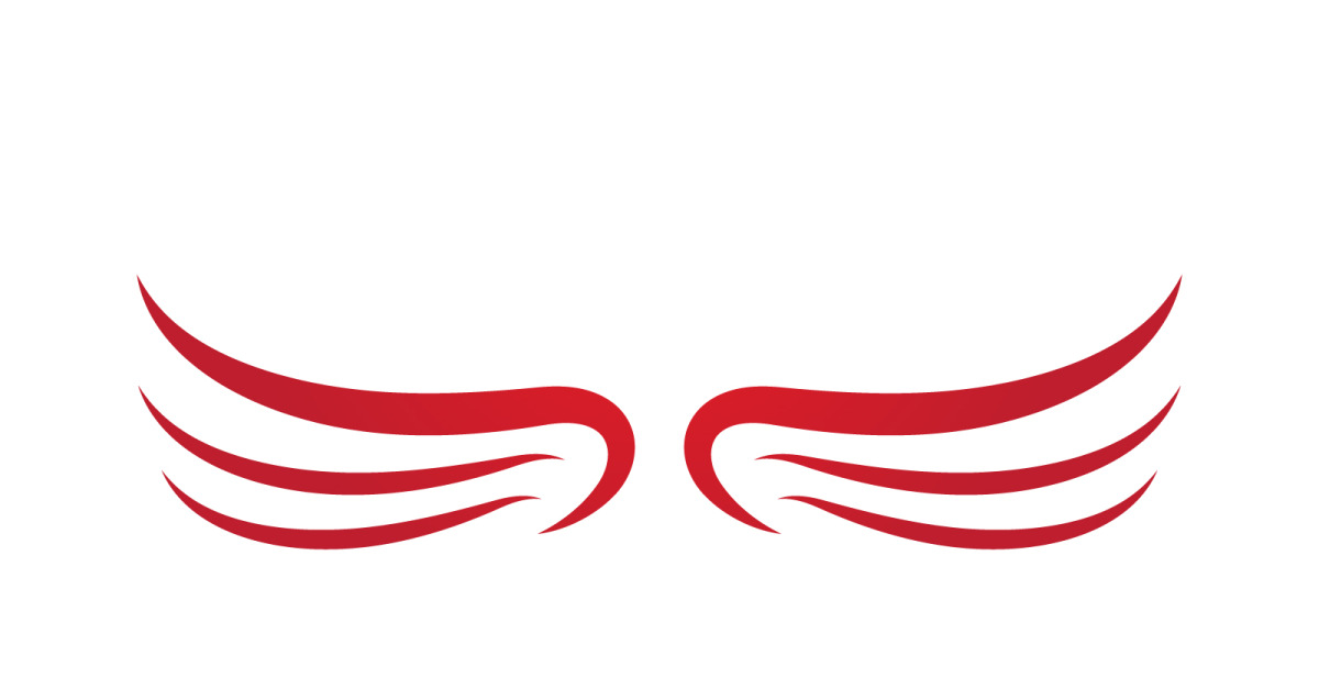 Eagle hawk wing icon illustratio logo design v.11