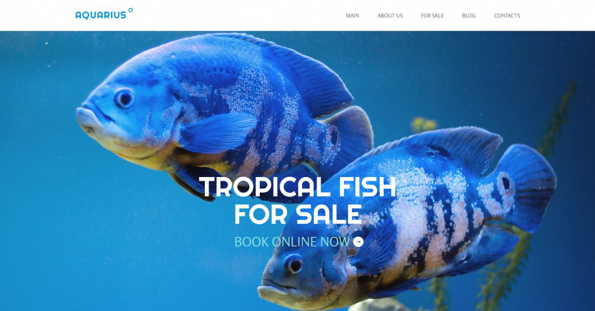 Fisch Responsive Website-Vorlage #51730 - TemplateMonster