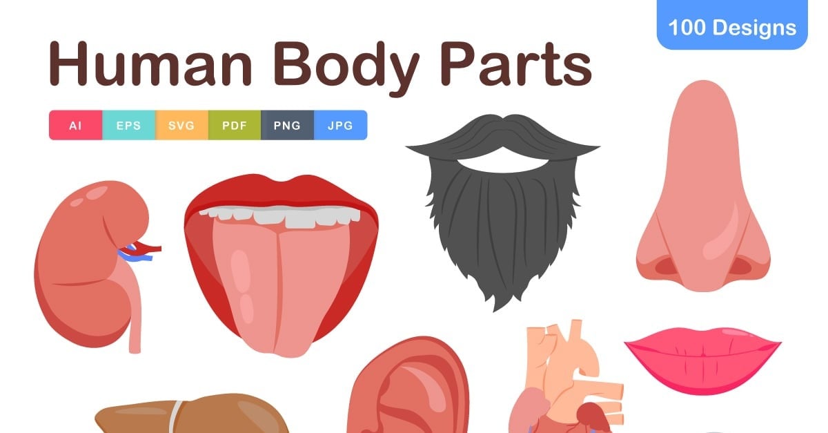 Human Body Parts Icons Pack – Detailed Anatomy & Medical Illustrations