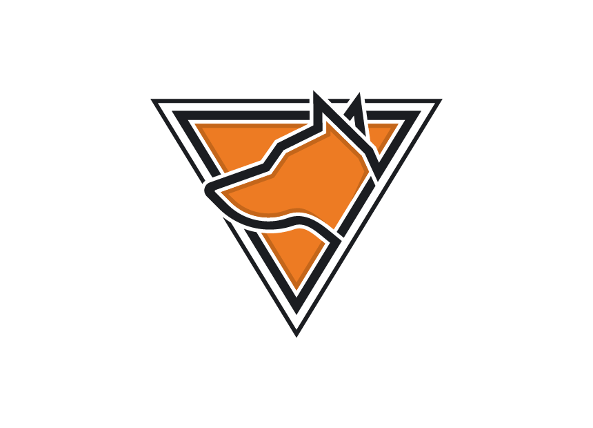 Tête de chien avec concept triangulaire - TemplateMonster