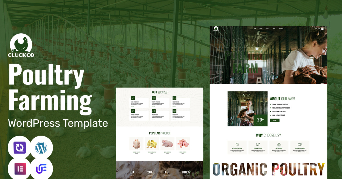CluckCo - Organic Poultry, Egg Production & Agriculture Business ...