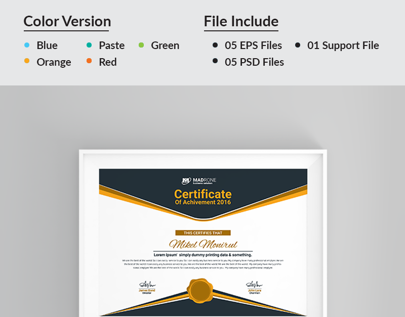 Computer Training Certificate Template - TemplateMonster