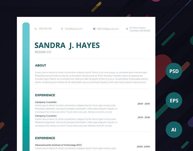 Sandra J Hayes - Resume Template #67395 - TemplateMonster