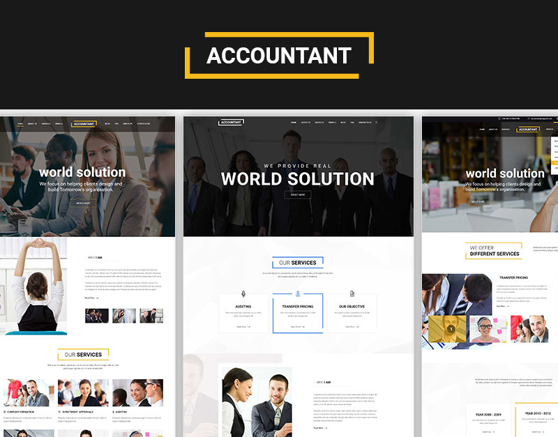 Accountant PSD Template #68482 - TemplateMonster
