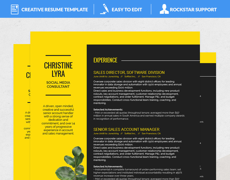 Lyra Resume Template #69171 - TemplateMonster