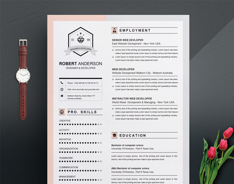 Professionell CV-mall #71134 - TemplateMonster