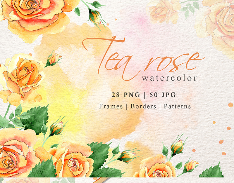 Watercolor Tea Yellow Rose Png Set - Illustration