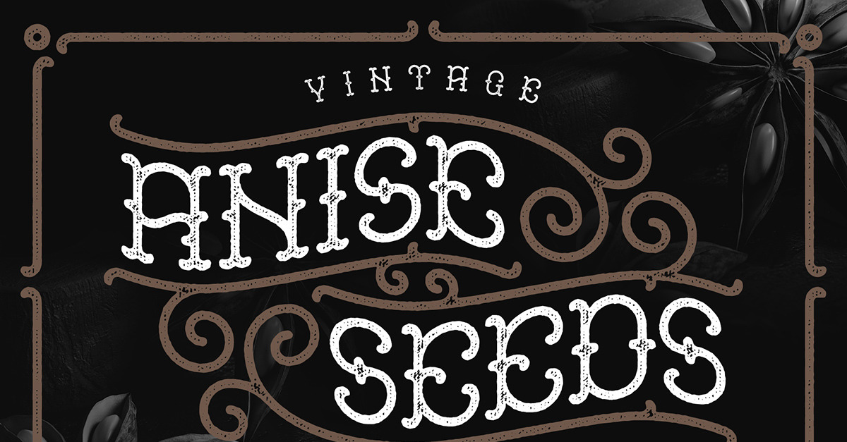 Anise Seeds Typeface Font #75259 - TemplateMonster