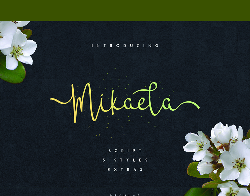 Mikaela Font #78001 - TemplateMonster