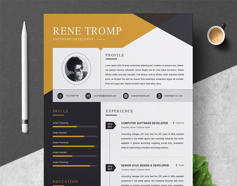Rene Tromp CV-mall #84378 - TemplateMonster