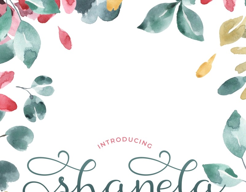 Shanela Font #84723 - TemplateMonster