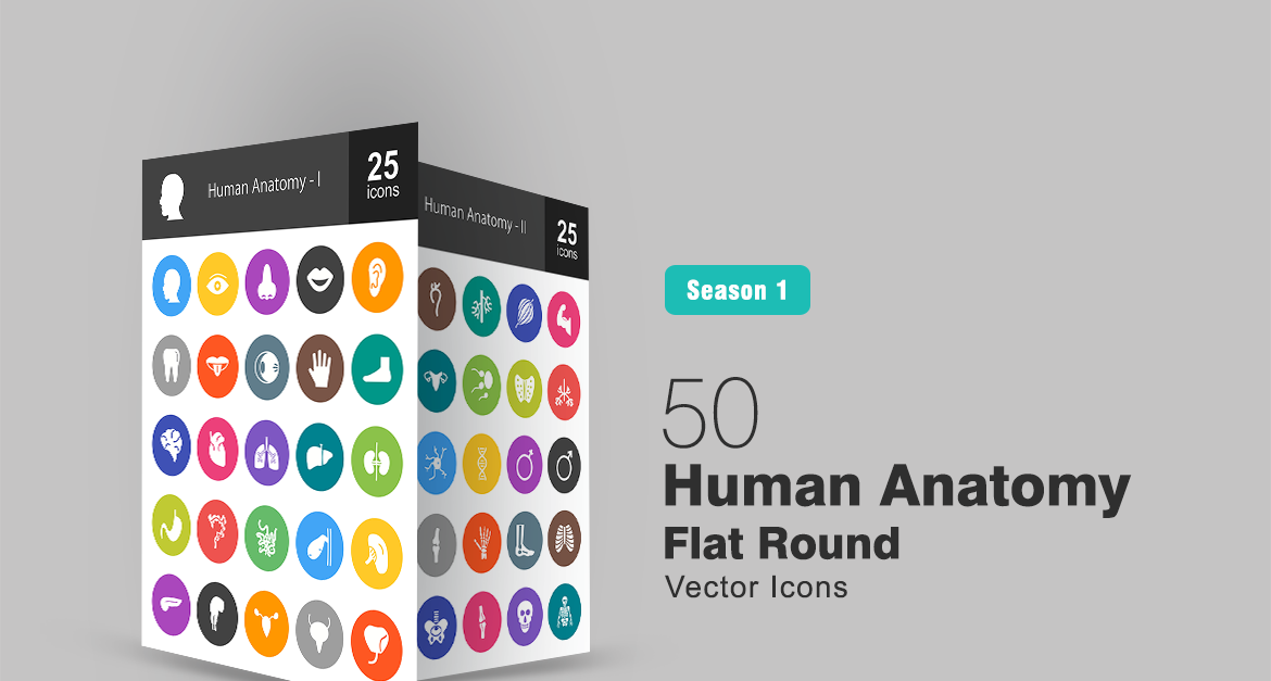 50 Human Anatomy Filled Round Corner Icon Set