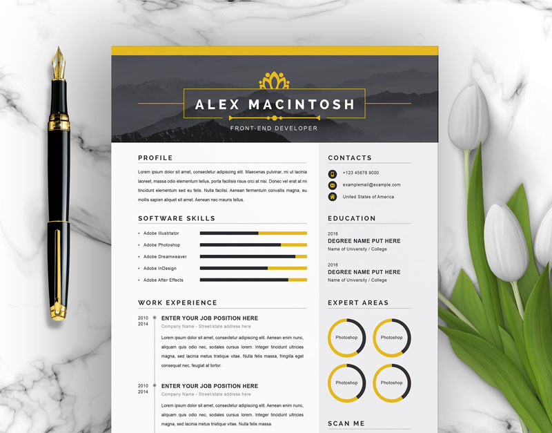 Alex Resume Template #96774 - TemplateMonster