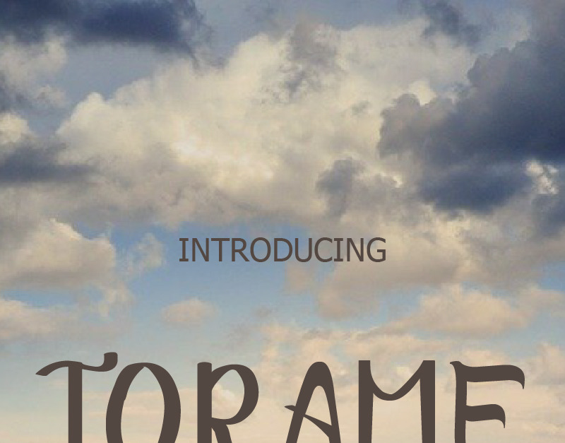 Torame Handwriting - Font #97259 - TemplateMonster