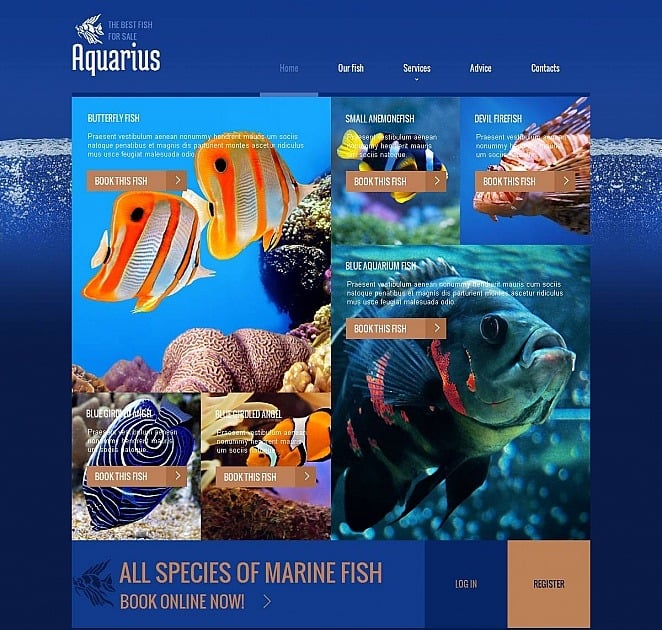Fish Aquarium Website Template for Fish Selling Website - MotoCMS
