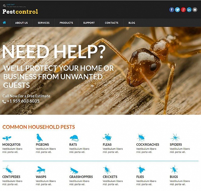Home Pest Control Website Template MotoCMS