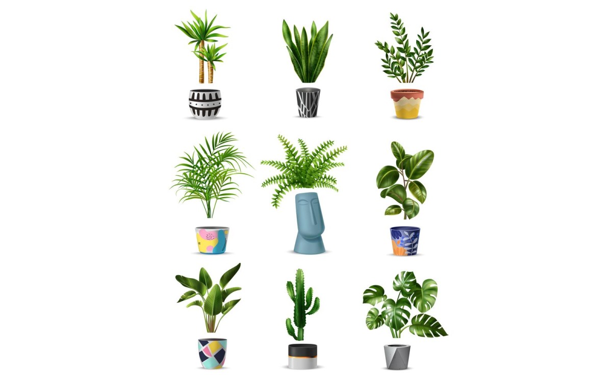Realistic Green Home Plant Big Set Vector Illustration Concept