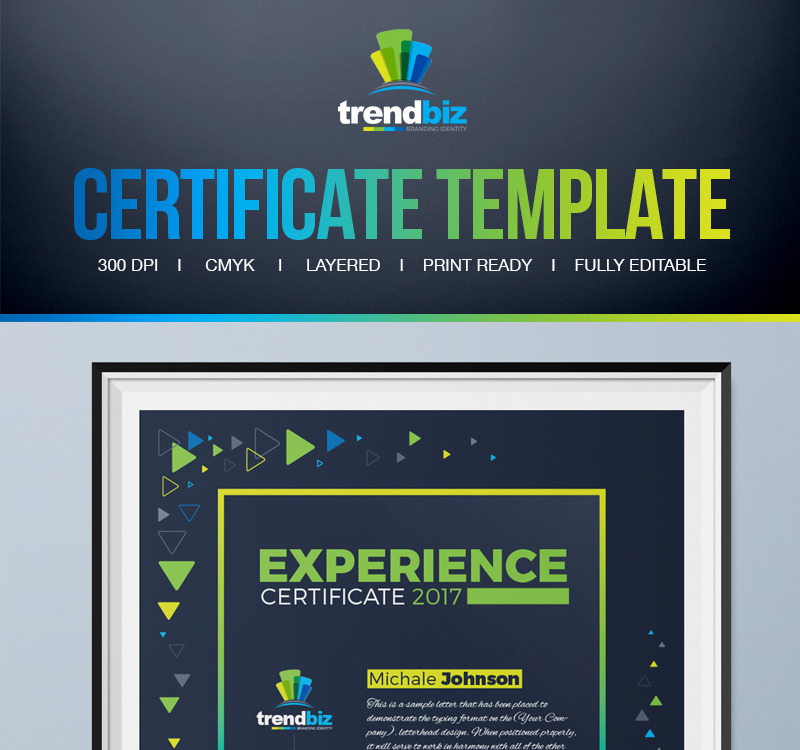 Experience Certificate Template #71669 - TemplateMonster