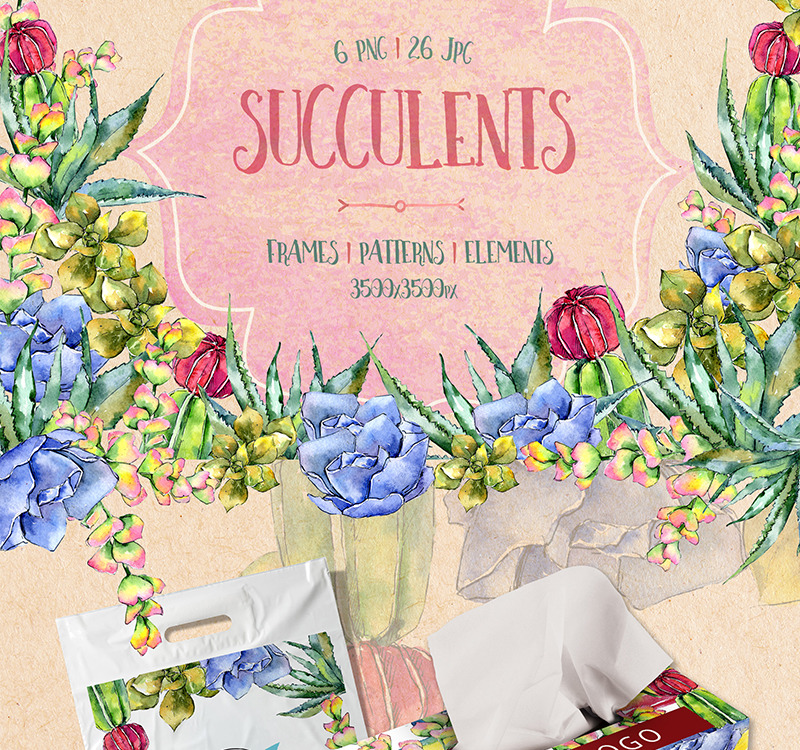 Succulents PNG Watercolor Set - Illustration