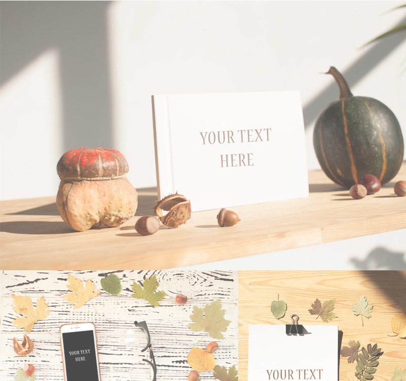 Autumn Journey Mockups & Photos Bundle Product Mockup
