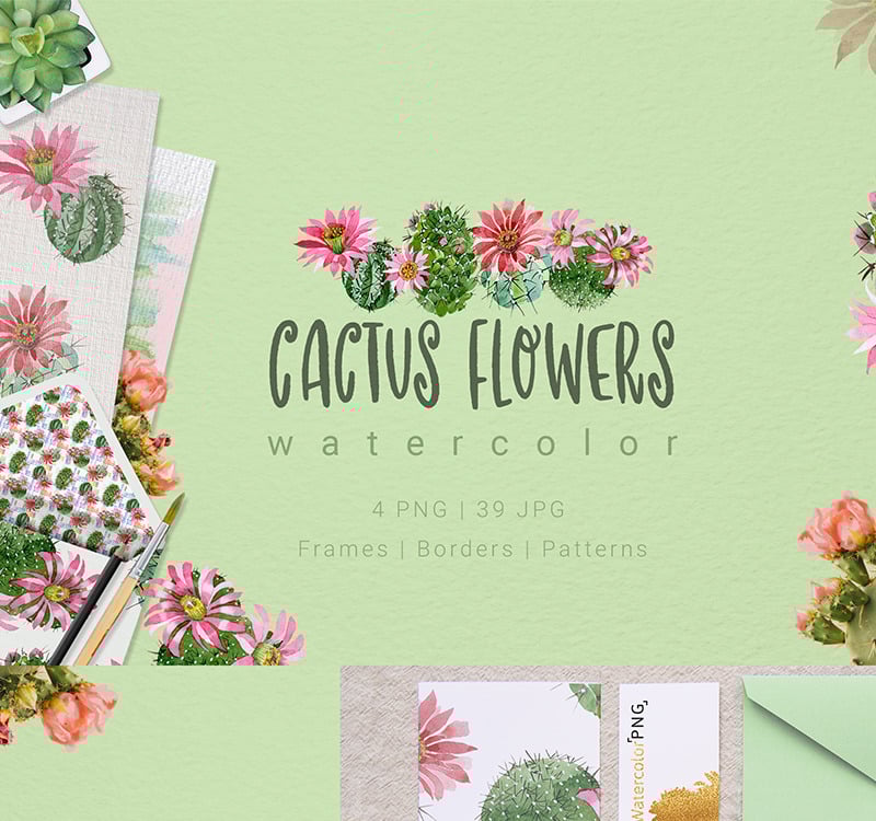 Cactus Flowers Watercolor Set - Illustration
