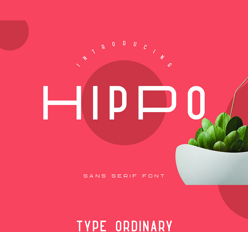 Hippo Font #77888 - TemplateMonster
