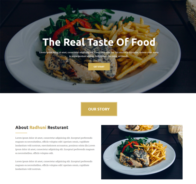 Radhuni - Multipurpose Business Joomla Template